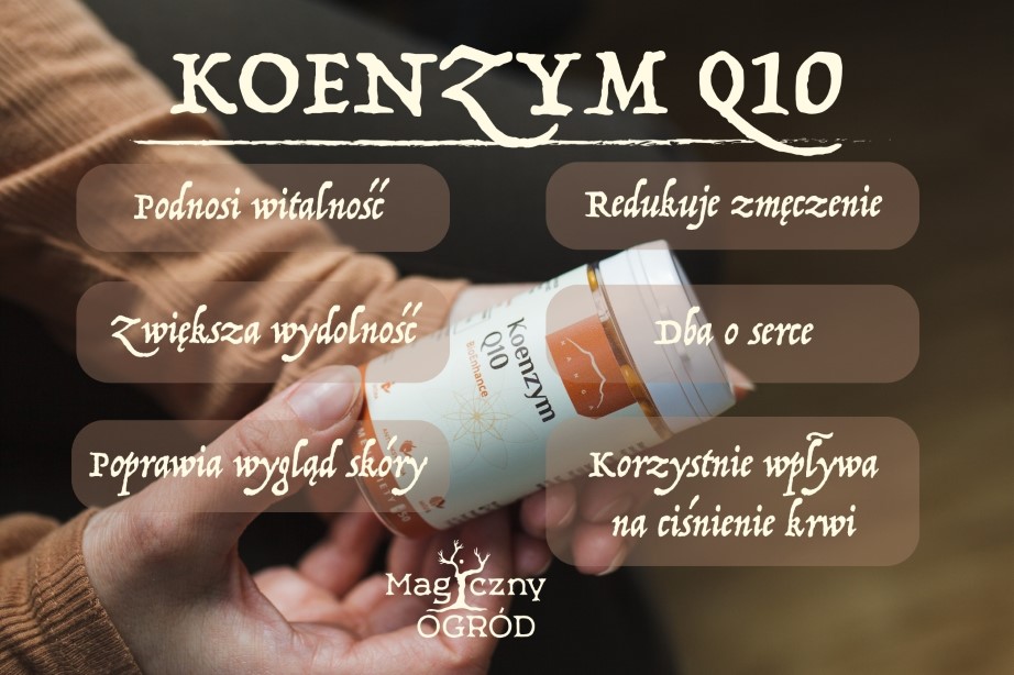 Koenzym Q10: na co pomaga? Właściwości i przeciwskazania | MagicznyOgród